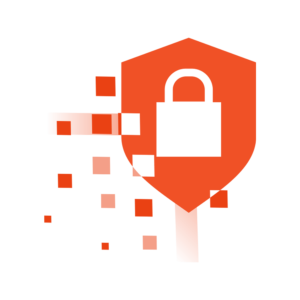 Cyber Security Assessment