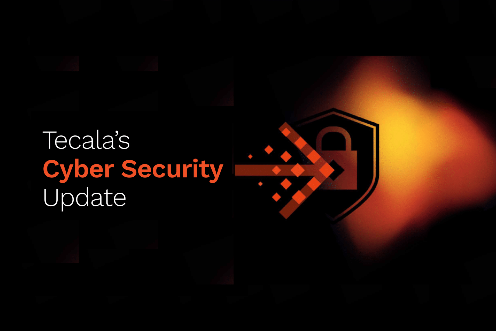 Tecala's Cyber Security Update
